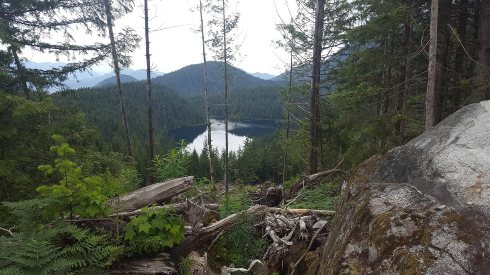 Pine Lake Hiking Trail | Vancouver Coast Mountains BC
