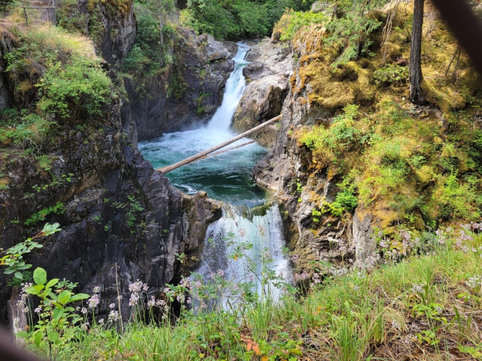 Little Qualicum Falls | Hiking Vancouver Island