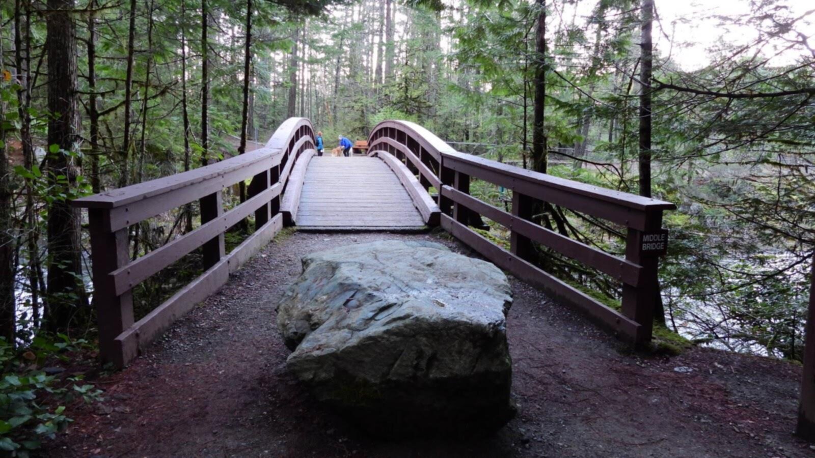 Little Qualicum Falls | Hiking Vancouver Island
