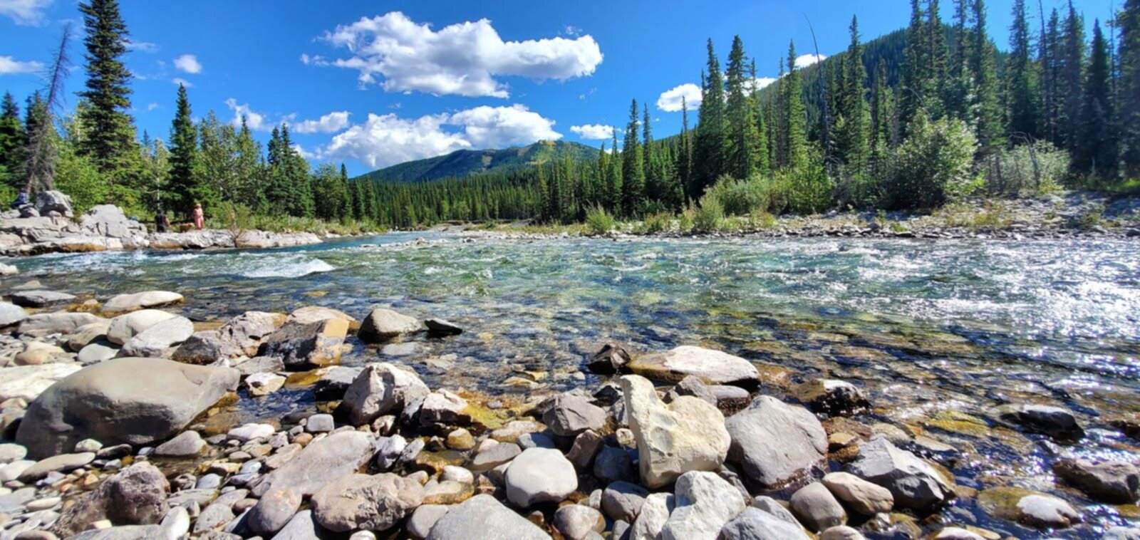 Elbow Falls Hiking Trails | Calgary Area Guide Alberta
