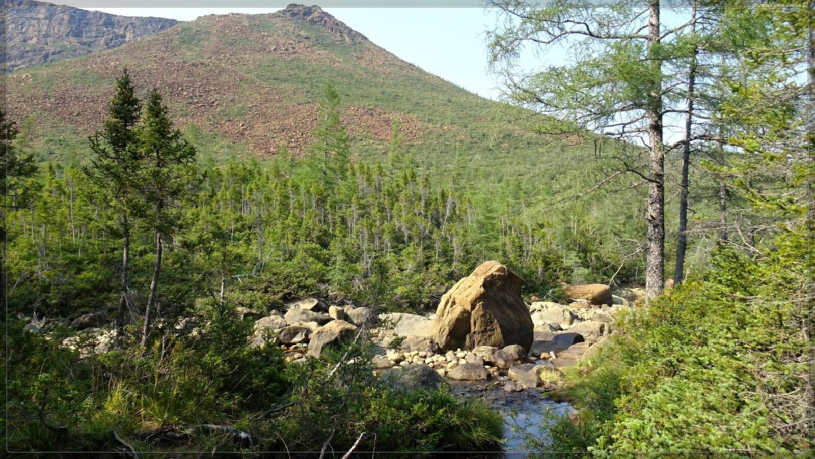 Randonnée Mont Albert | Guide Sentiers Gaspésie