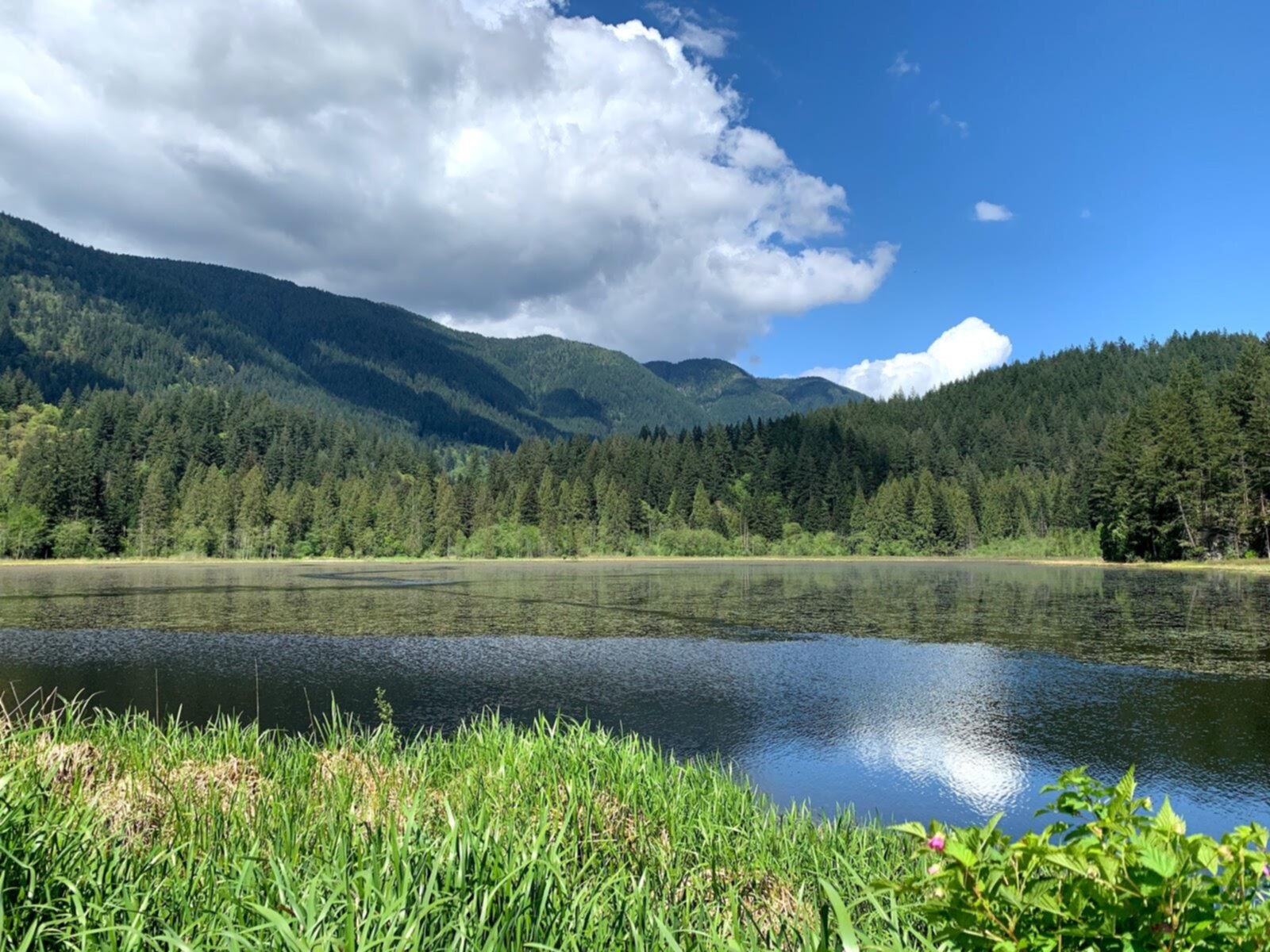 Minnekhada Regional Park | Hiking Trails BC