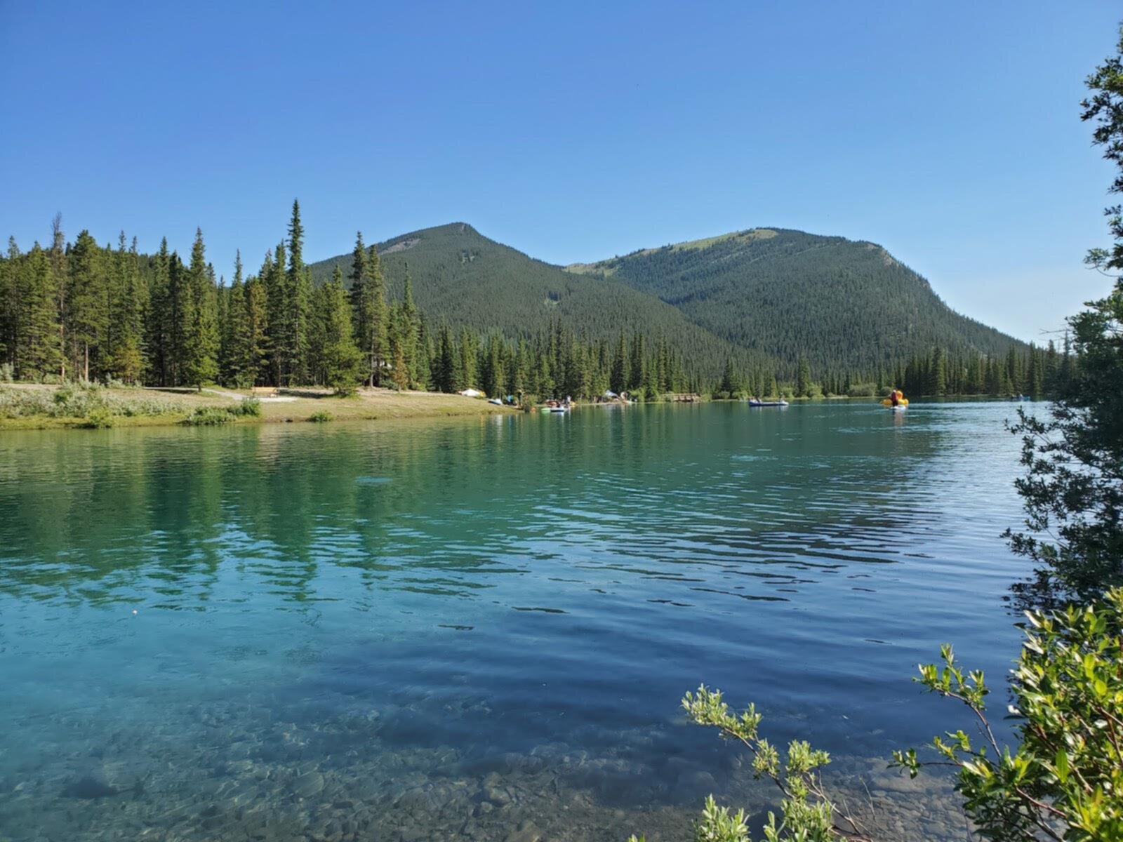 Forgetmenot Pond | Complete Guide - Canadian Rockies