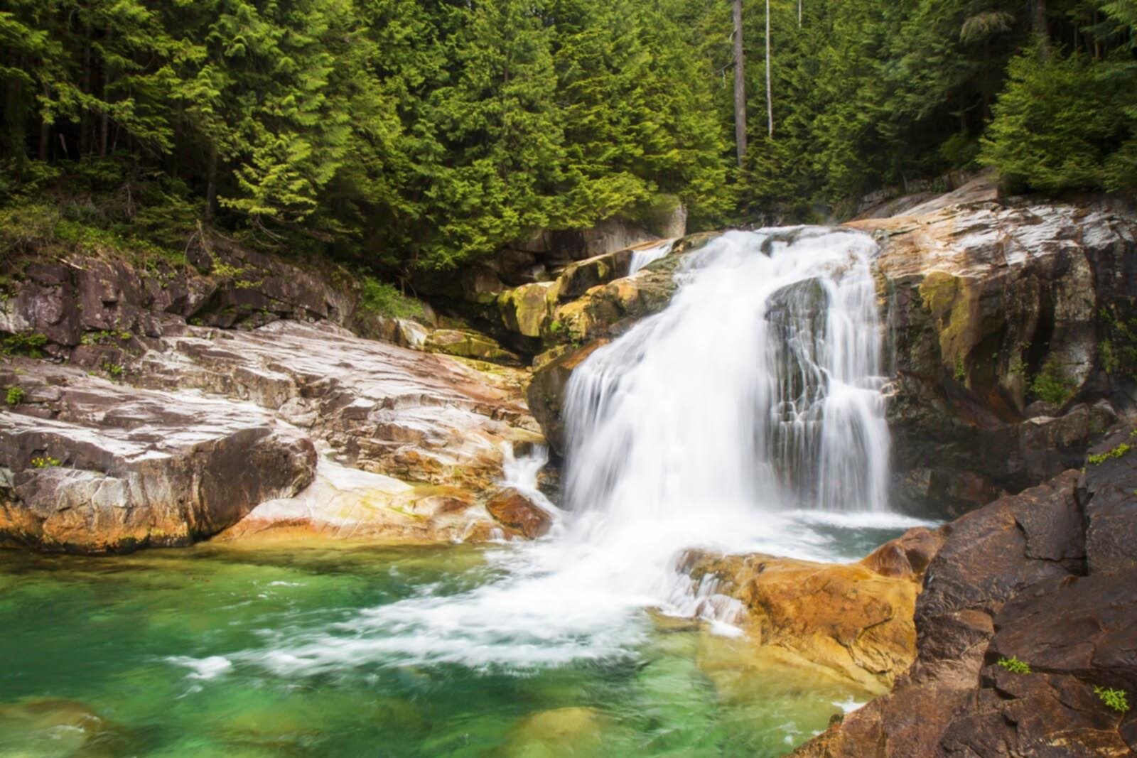 Hiking in Golden Ears Provincial Park - tips and info | Map, Info & Tips