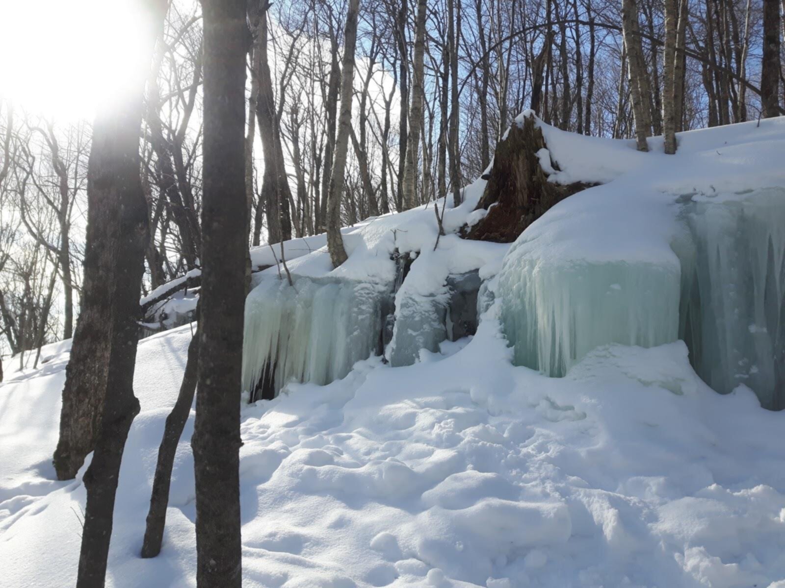 Mont Nixon | Guide Complet - Laurentides