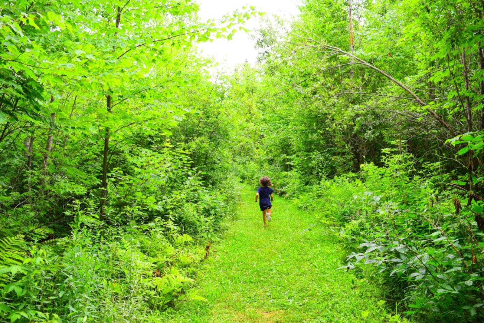 Randonnée au Lac-Aylmer | Sentiers Cantons-de-l'Est