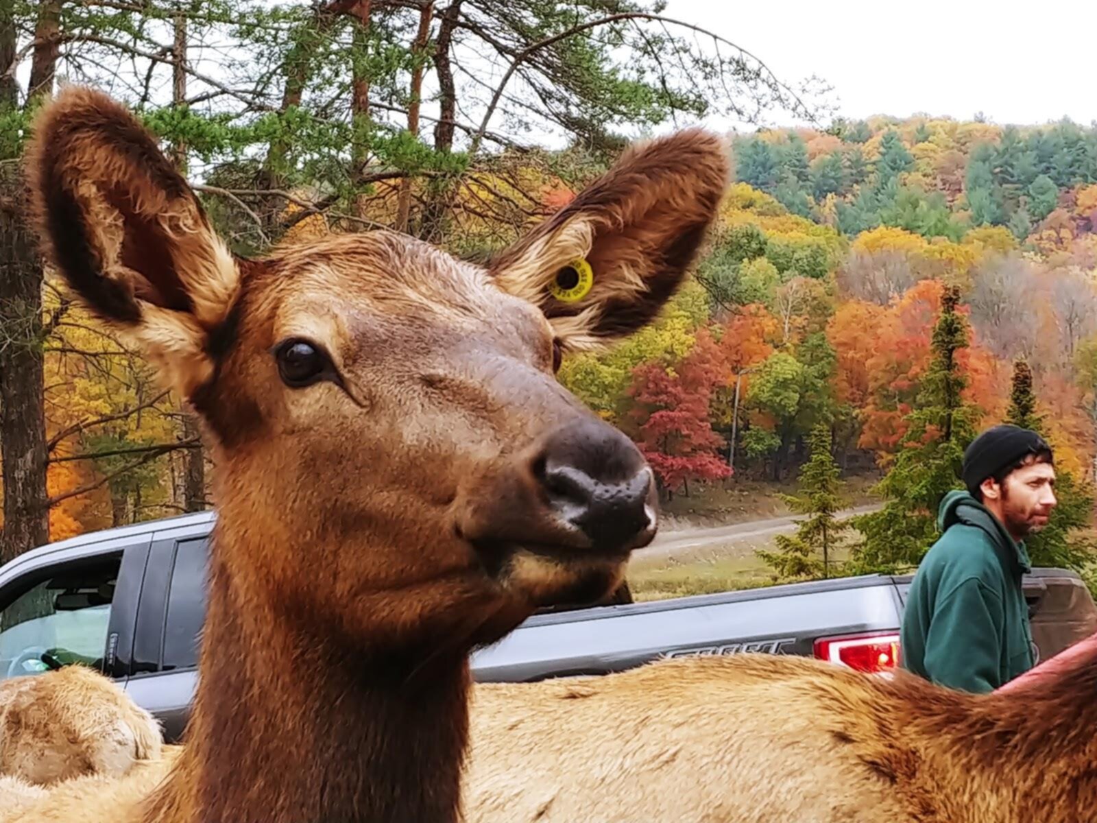 Parc Omega Hiking | Trail Map and Guide Outaouais