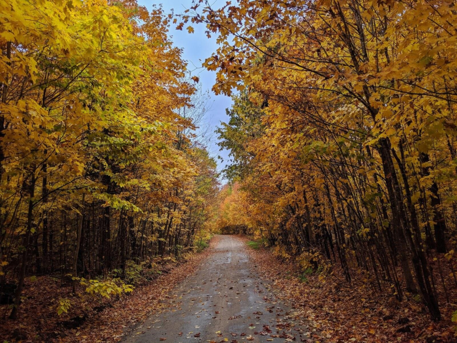 Papineau-Labelle Wildlife Reserve | Hiking Guide Laurentides