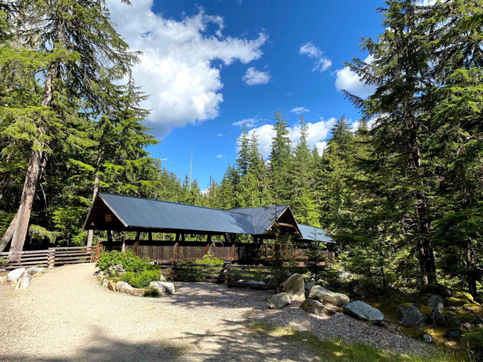 Nakusp Hot Springs Hiking | Kootenay Rockies Trail Guide
