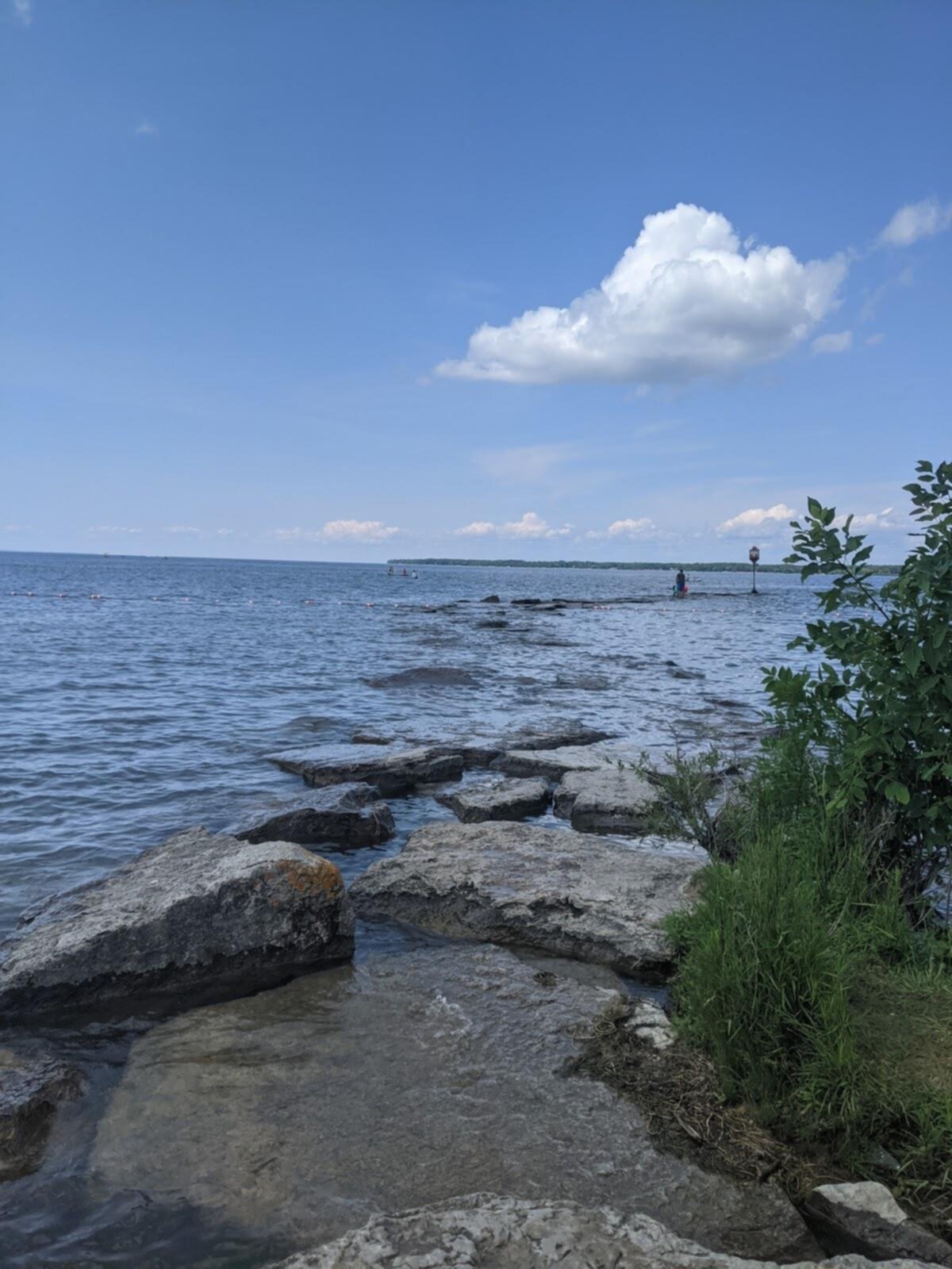Sibbald Point Provincial Park Hiking | Ontario
