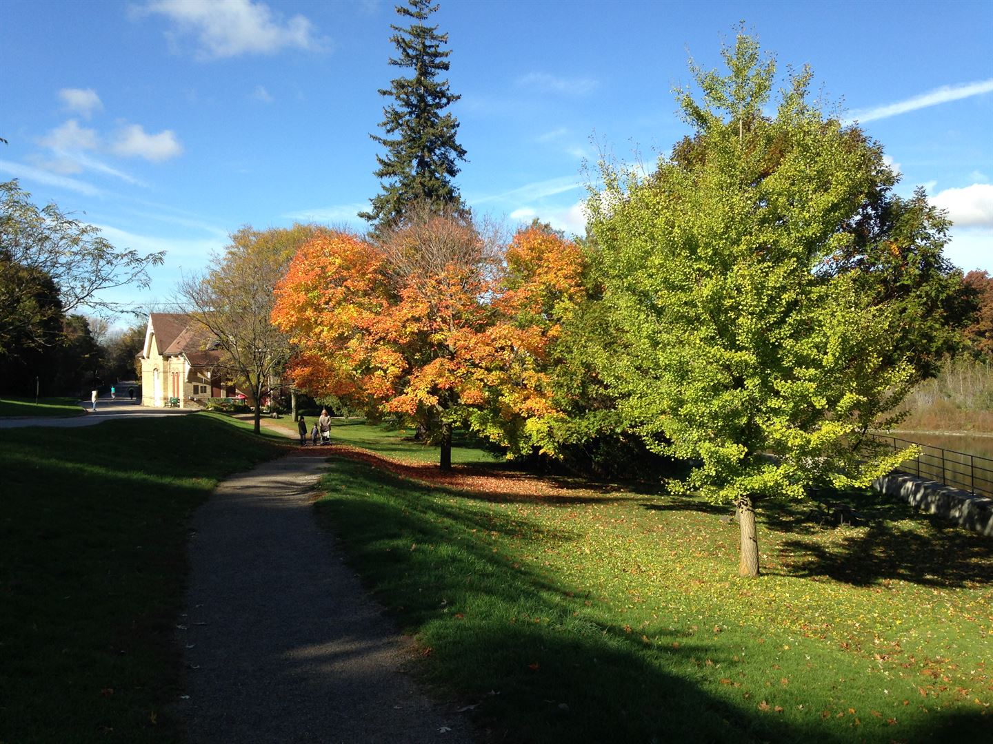 Springbank Park Hiking Trails | Southwest Ontario Guide