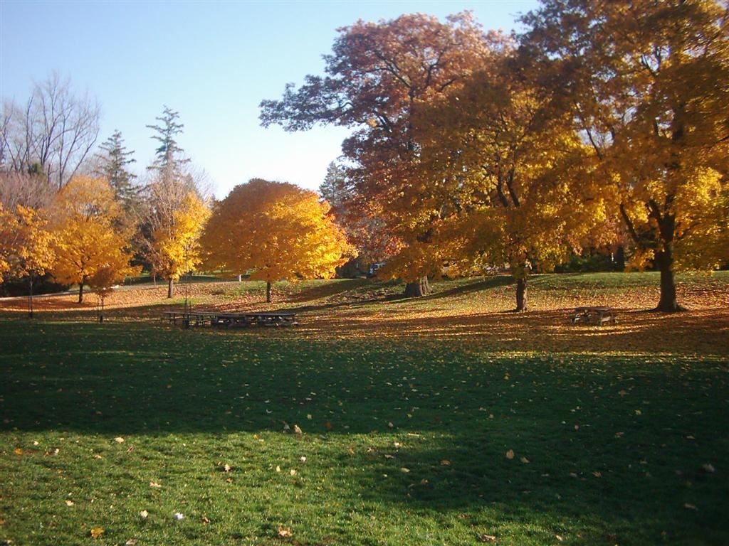 Springbank Park Hiking Trails | Southwest Ontario Guide