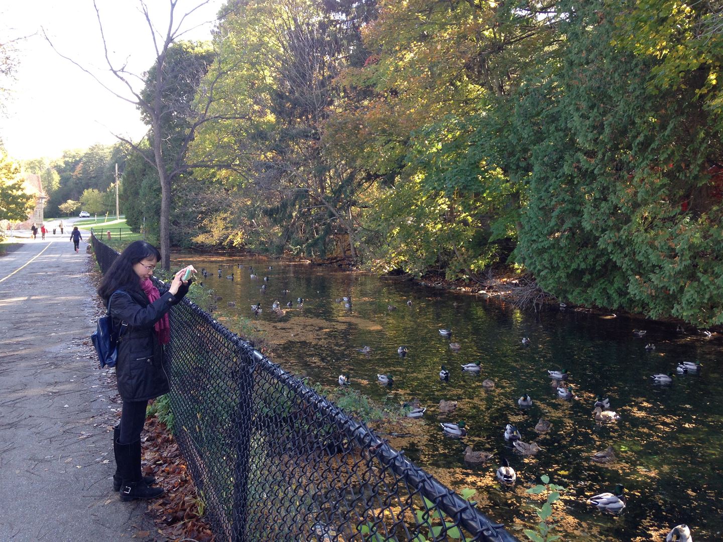 Springbank Park Hiking Trails | Southwest Ontario Guide