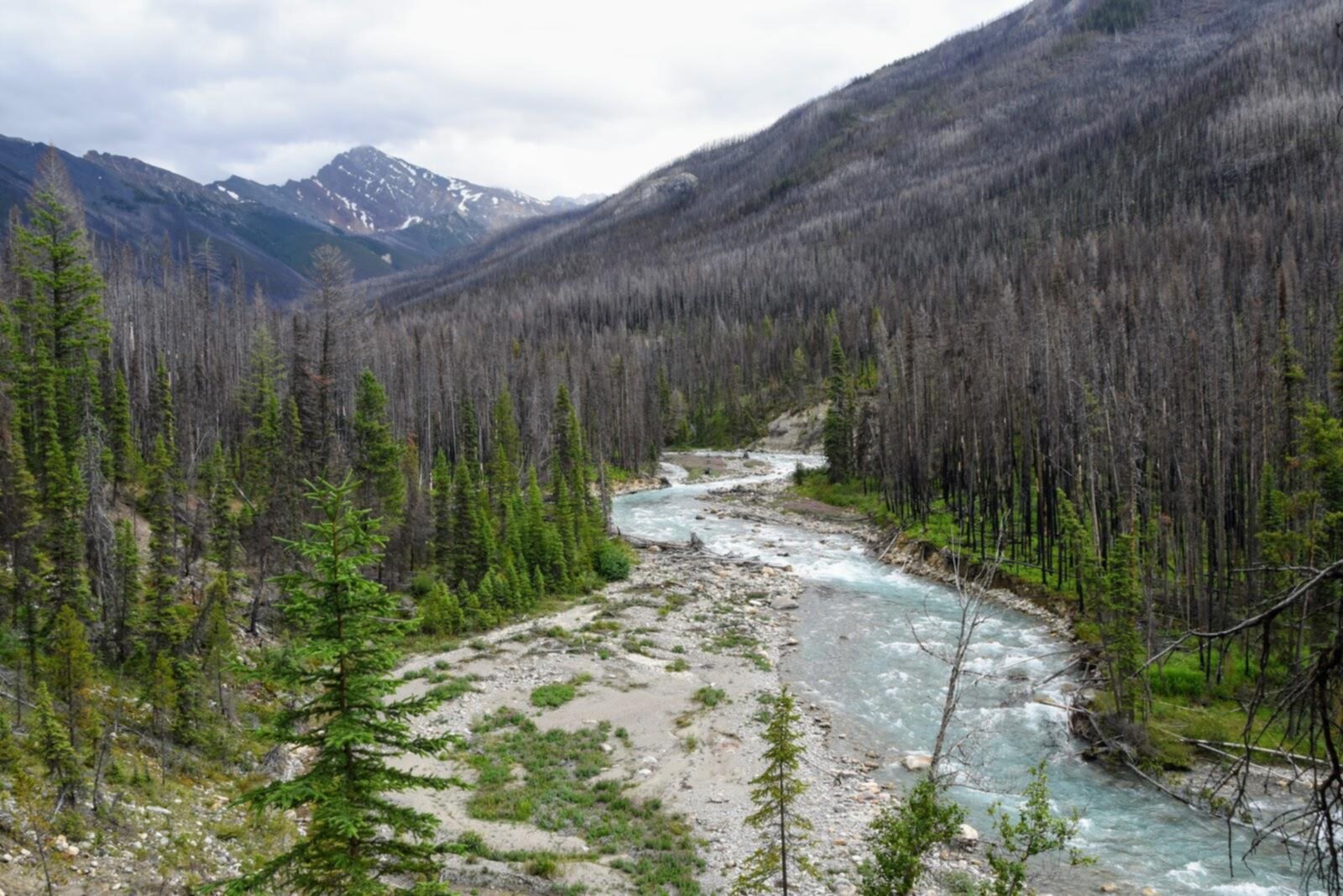 Mount Assiniboine Park | Hiking Trails in Kootenay Rockies