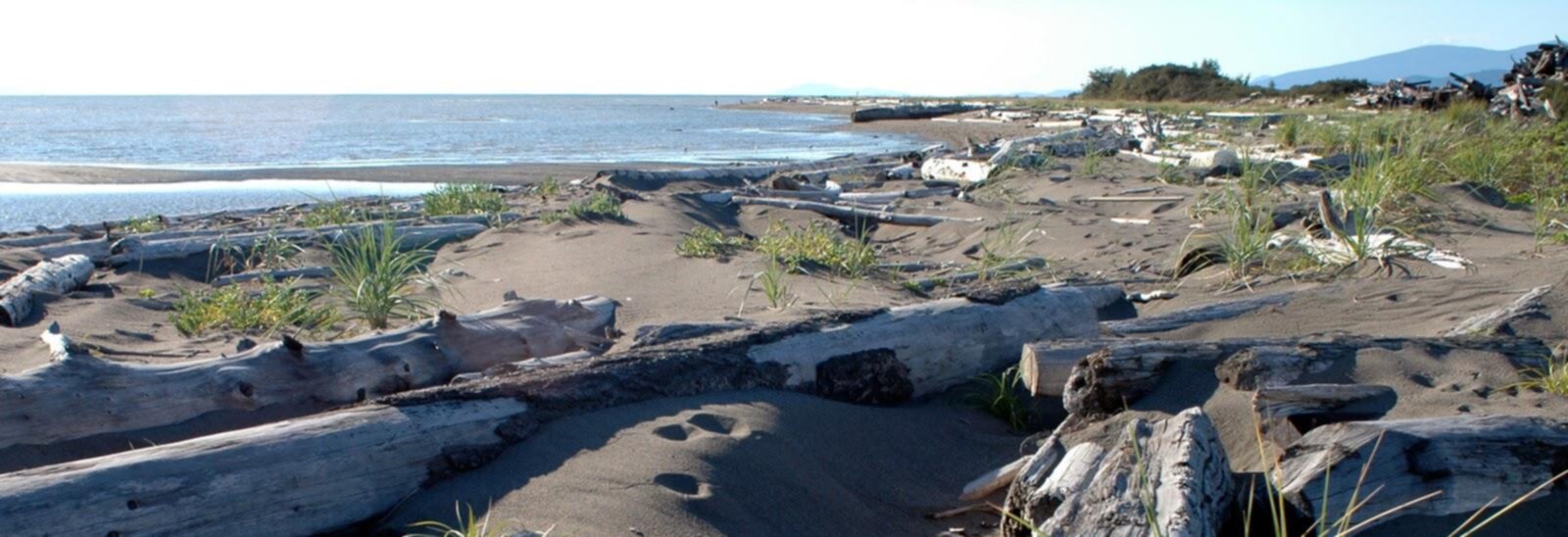 Iona Beach Regional Park | Photos & Reviews - Vancouver BC