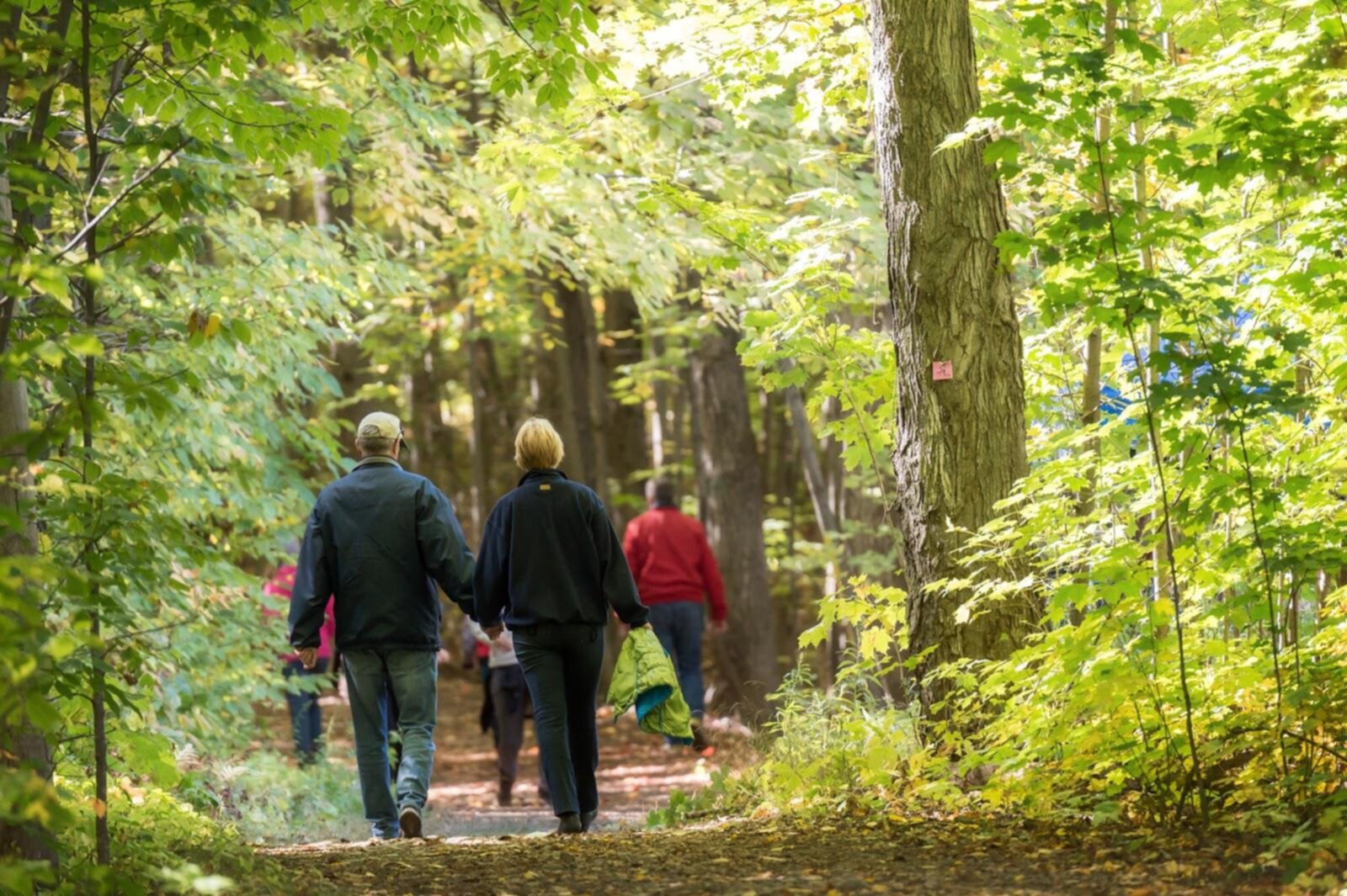 Randonnée Mont Rigaud | Sentiers en Montérégie Québec