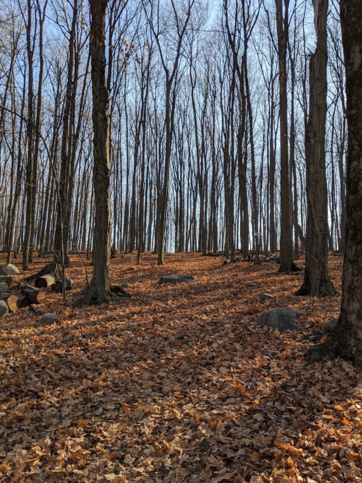 Randonnée Mont Rigaud | Sentiers en Montérégie Québec