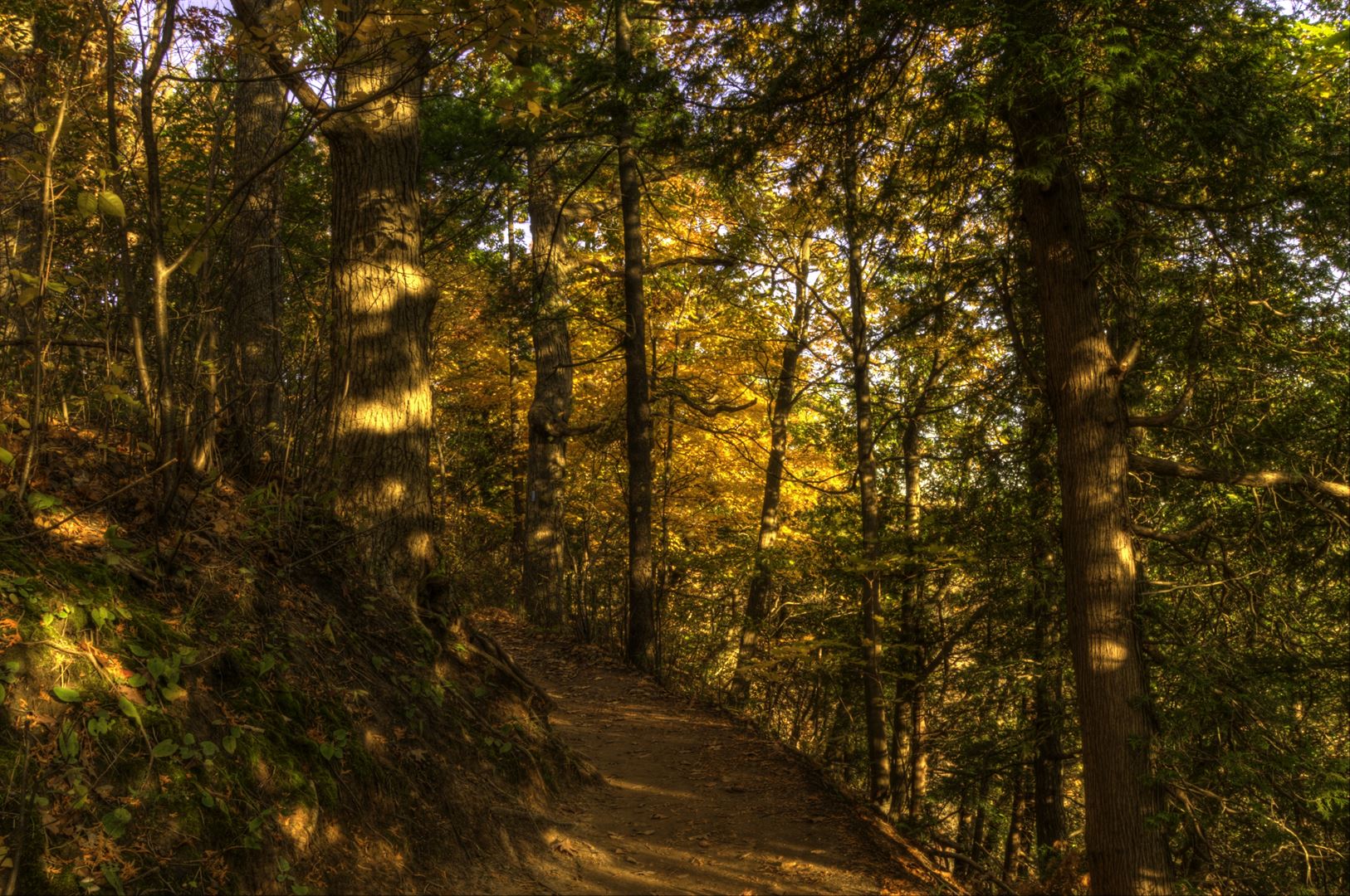 Dundas Peak Hiking Trail | Hamilton Ontario Guide