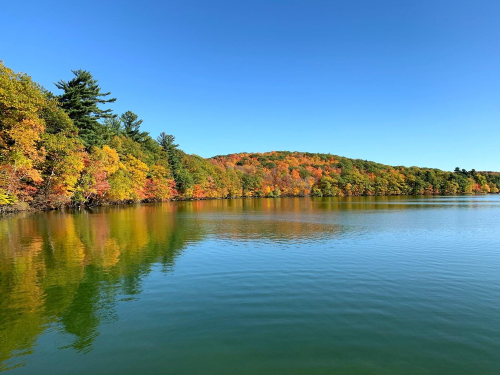 Mont Saint Bruno National Park | Hiking Guide Montérégie