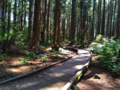 Pacific Spirit Regional Park Hiking Trails - Map of the best trails in 2024